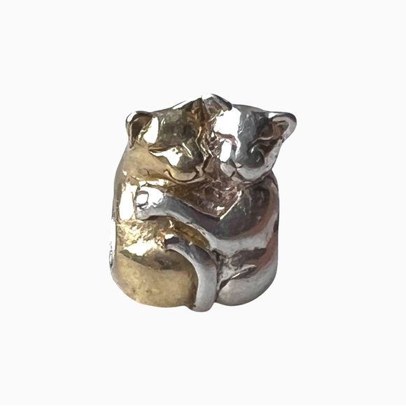 Jewelry | Sterling Silver Two Lion Cubs Hugging Charm Bead 12 | Poshmark